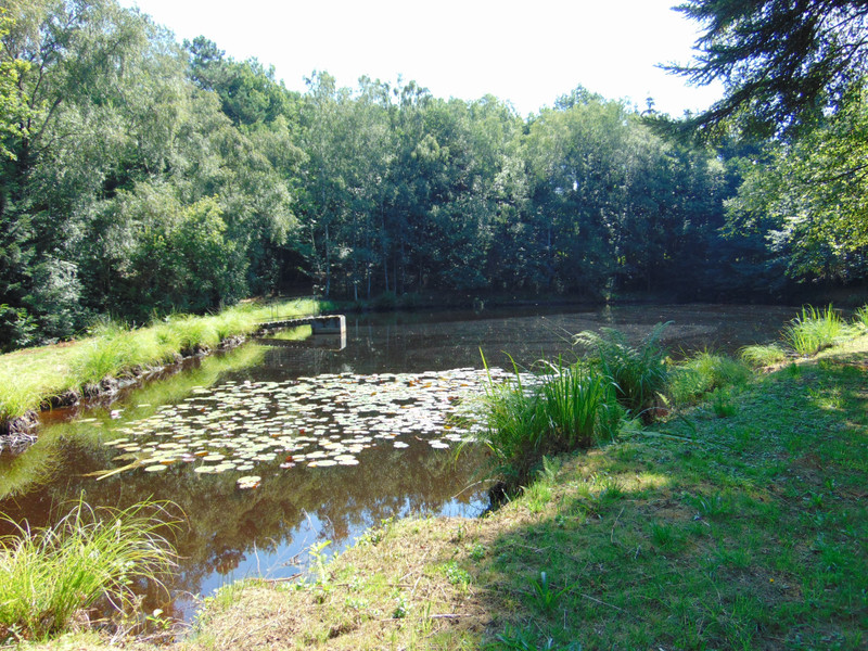 Lake in Saint-Mathieu - Haute-Vienne - UNDER OFFER Secluded private ...
