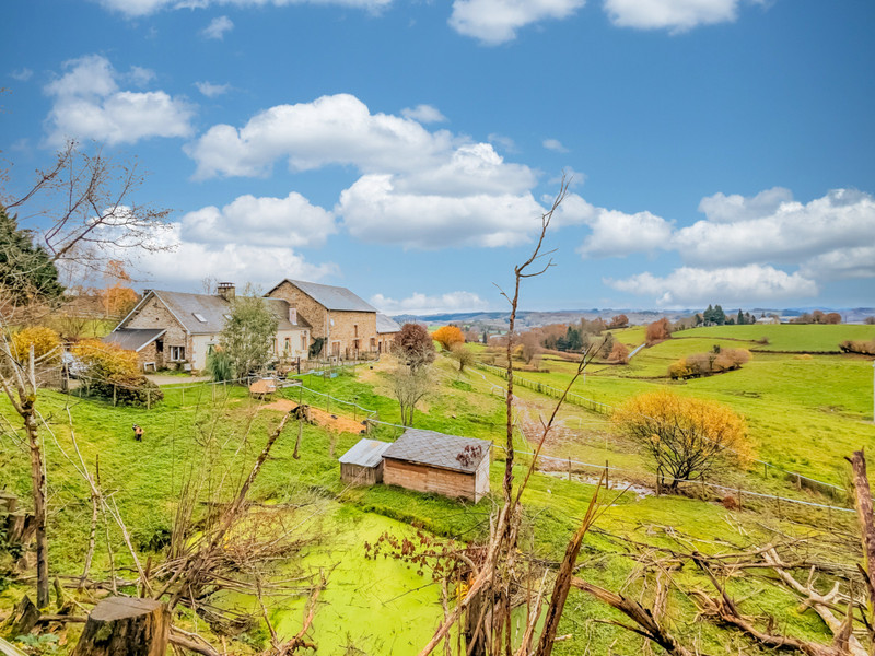 House for sale in Sussac - Haute-Vienne - Charming 5-Bedroom Farmhouse ...
