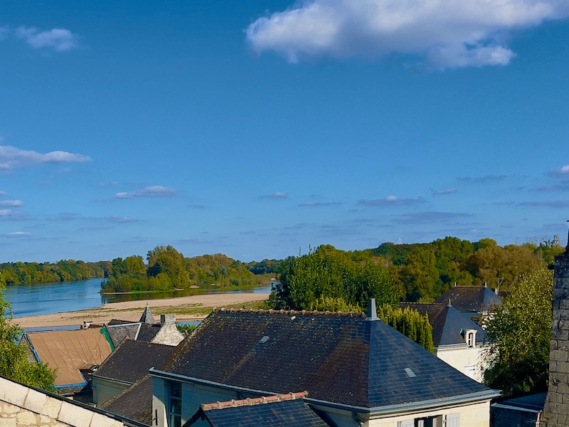 House for sale in Candes-Saint-Martin - Indre-et-Loire - Gorgeous stone ...