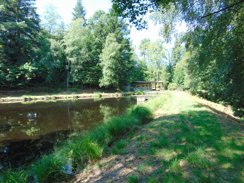 Lake in Saint-Mathieu - Haute-Vienne - UNDER OFFER Secluded private ...